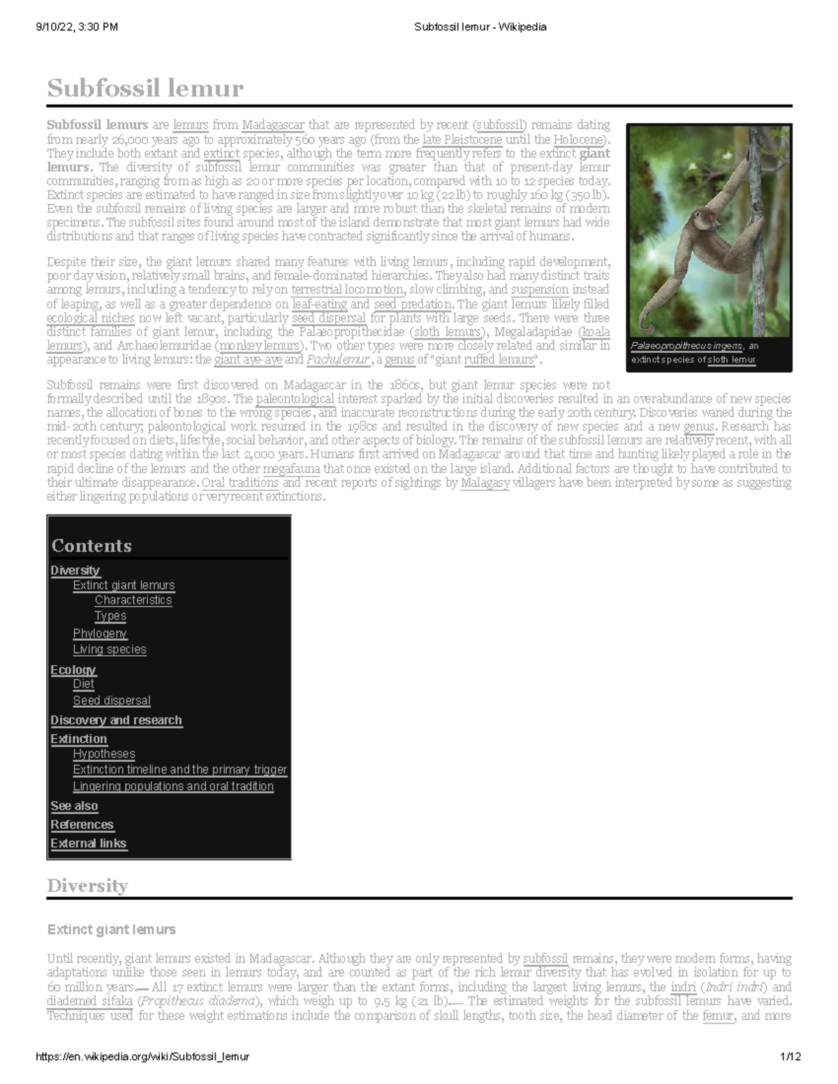 Subfossil lemur - Wikipedia - Palaeopropithecus ingens , an extinct ...