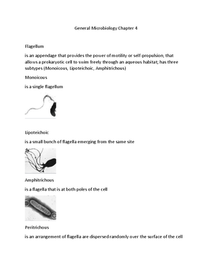 General Microbiology Chapter 2 - Studocu