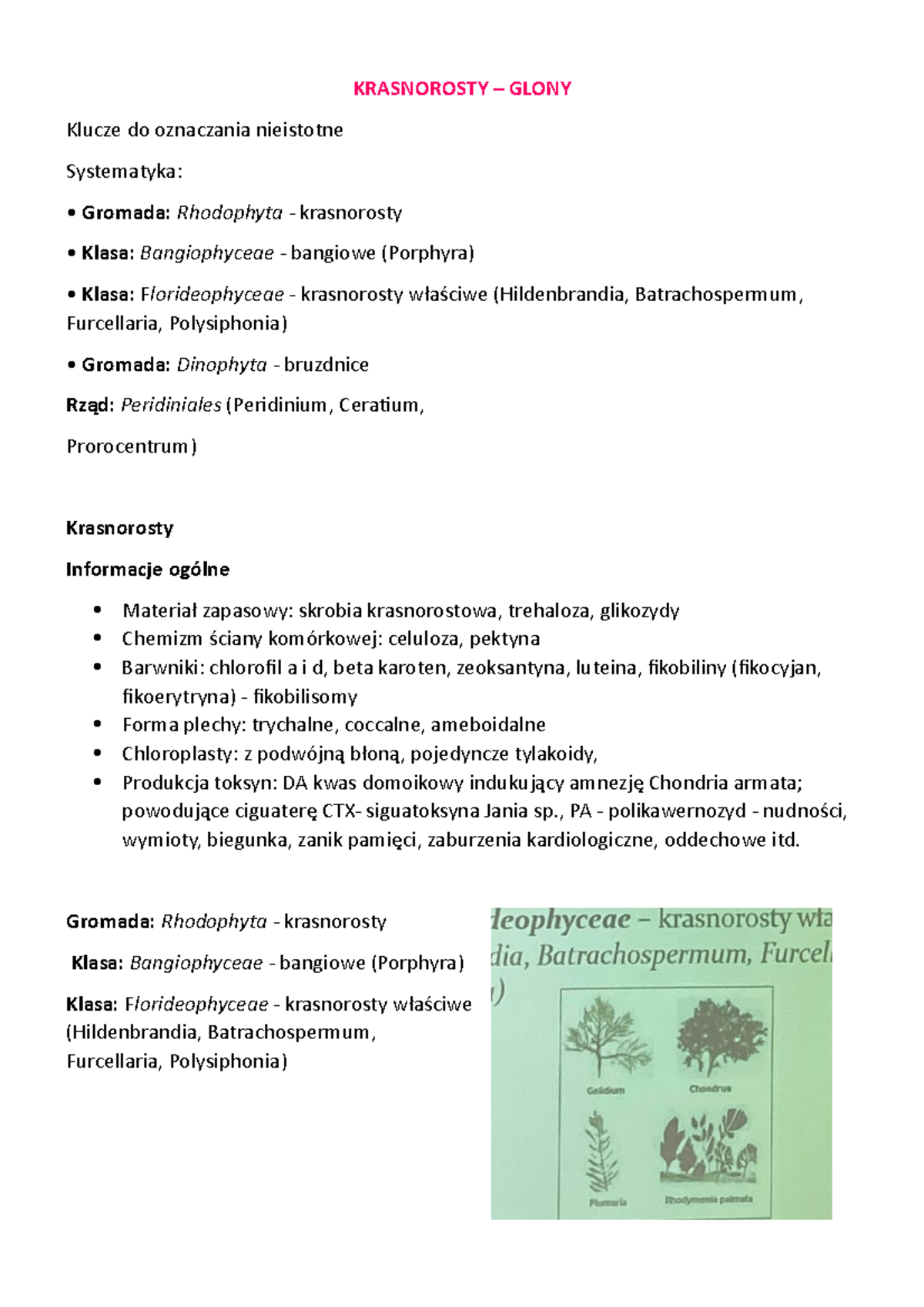 Krasnorosty - notatki do zaliczenia poszczególnych labów z glonów na 4/ ...