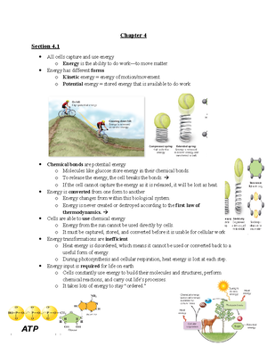 BIOL Study Guide Chapter 1 - Chapter 1 Study Guide + Extra Notes ...