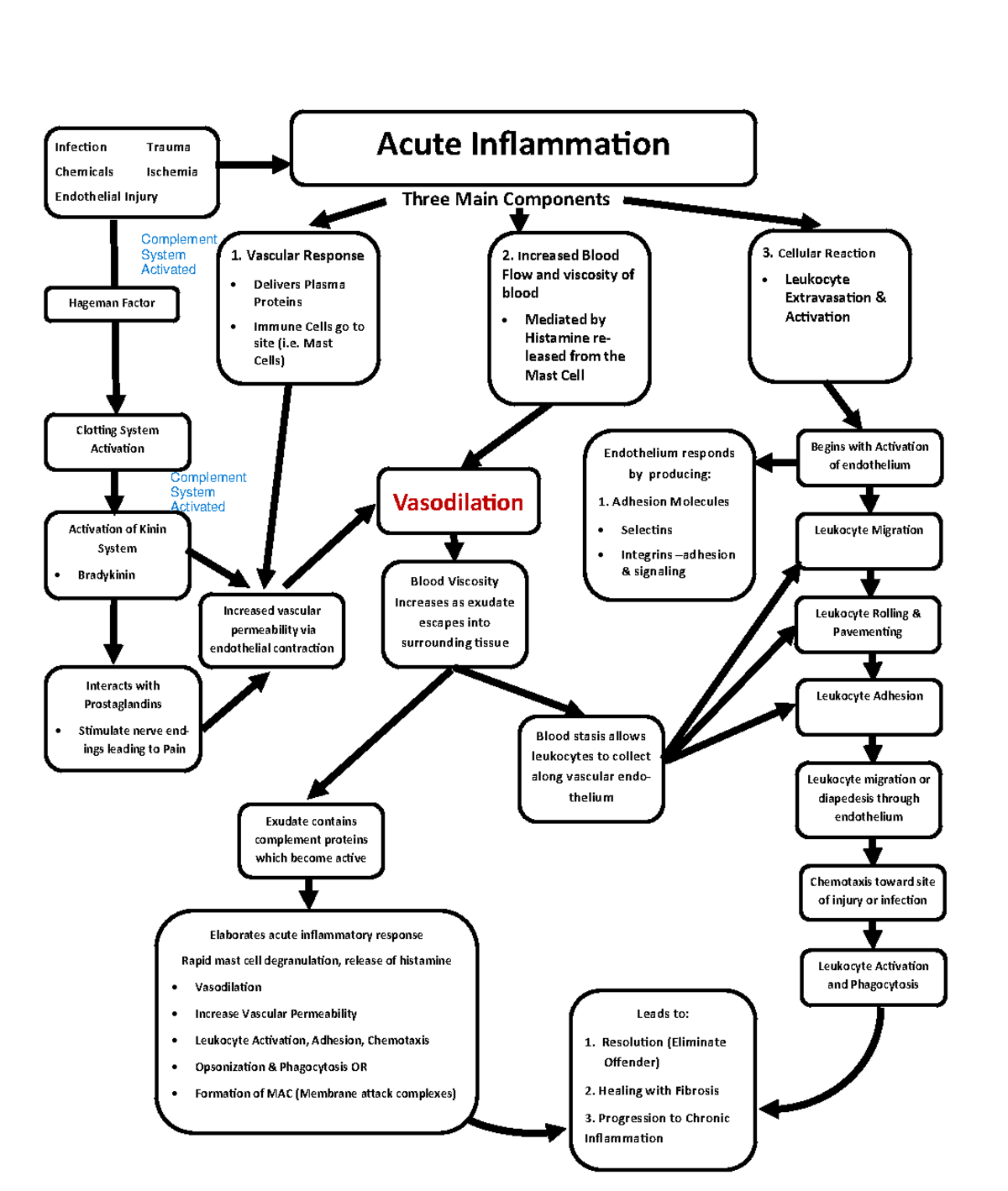 Actue infalmmation concept map - Acute Inflammation 1. Vascular ...