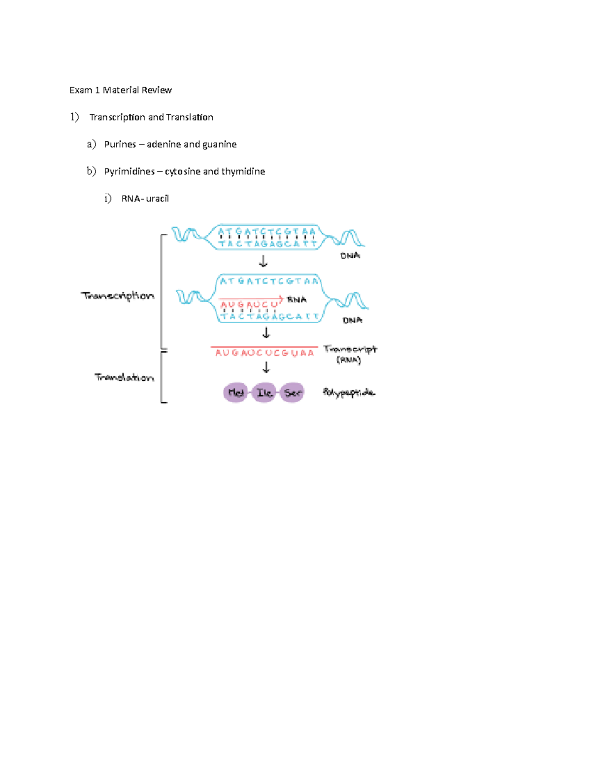 Path Exam 1 Outline - Unit one pathology study guide. Nursing ...