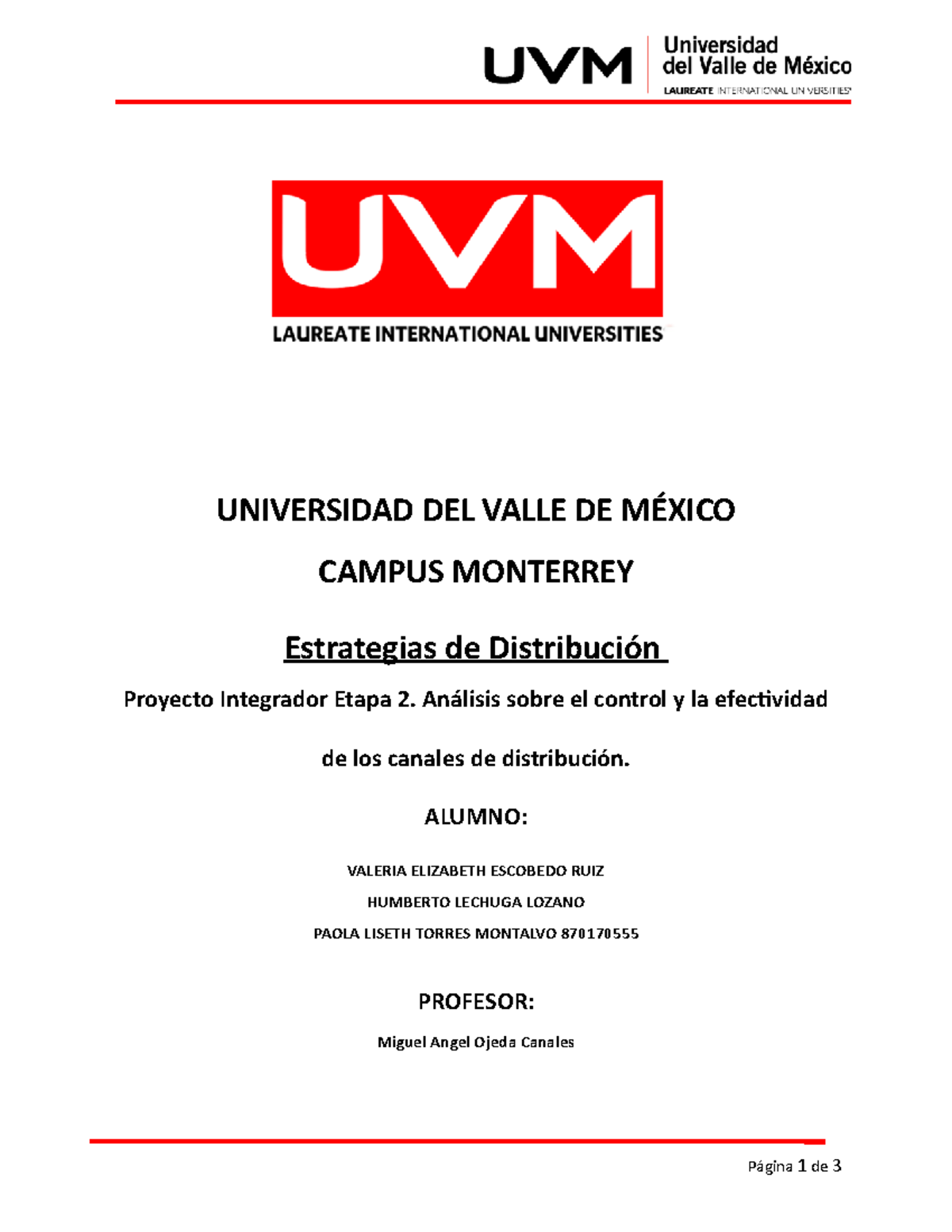 Proyecto Integrador Etapa 2 Estrategias - Mercadotecnia - UVM - Studocu