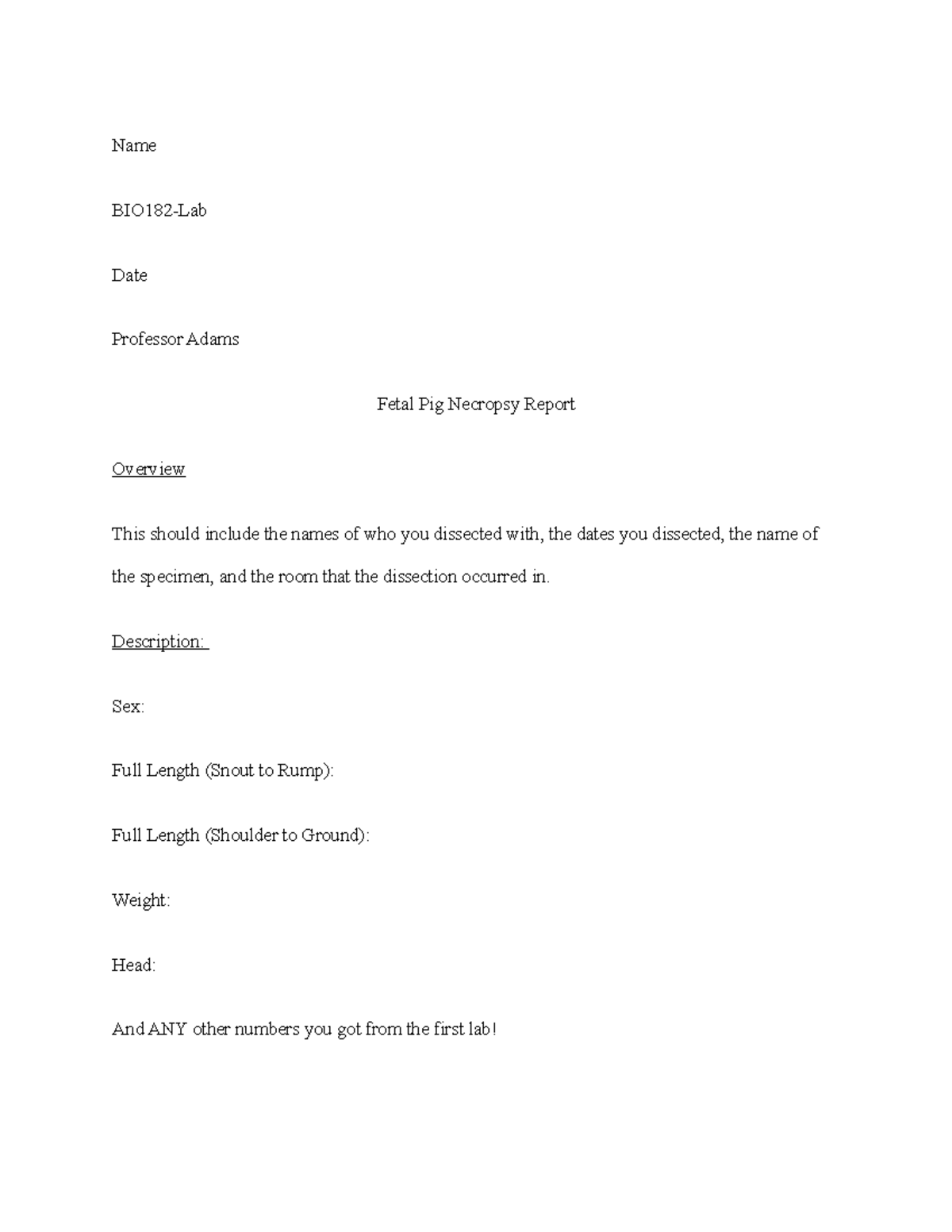 Necropsy Report Template - Name BIO182-Lab Date Professor Adams Fetal ...