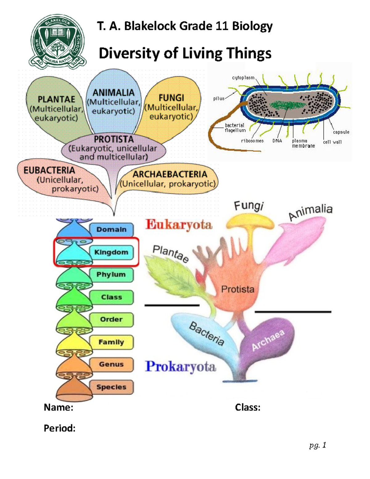 Diversity of living things handout - T. A. Blakelock Grade 11 Biology ...