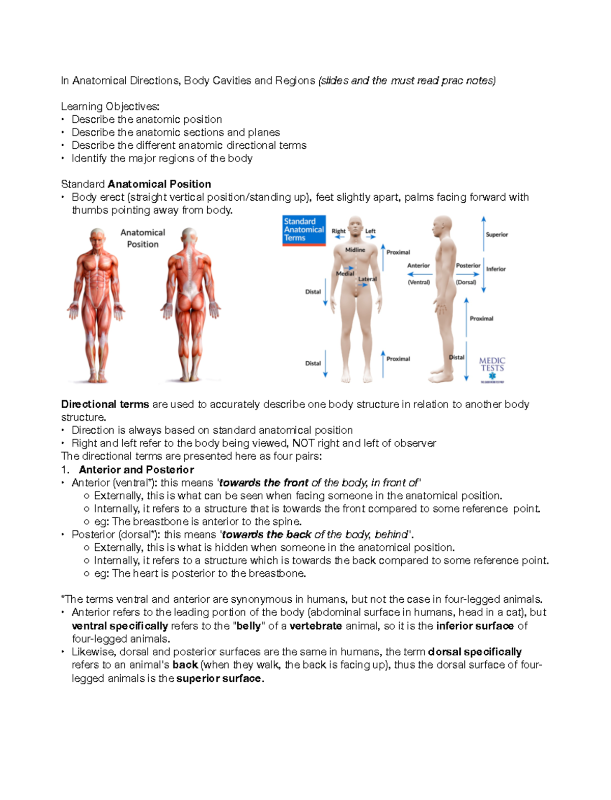 Anatomical Directions, Body Cavities and Regions Week 1 - Directional ...