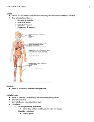An P Ch4 Quiz 1 - Chapter 4 practice test - A&P Chapter 4 Quiz 1 Which ...