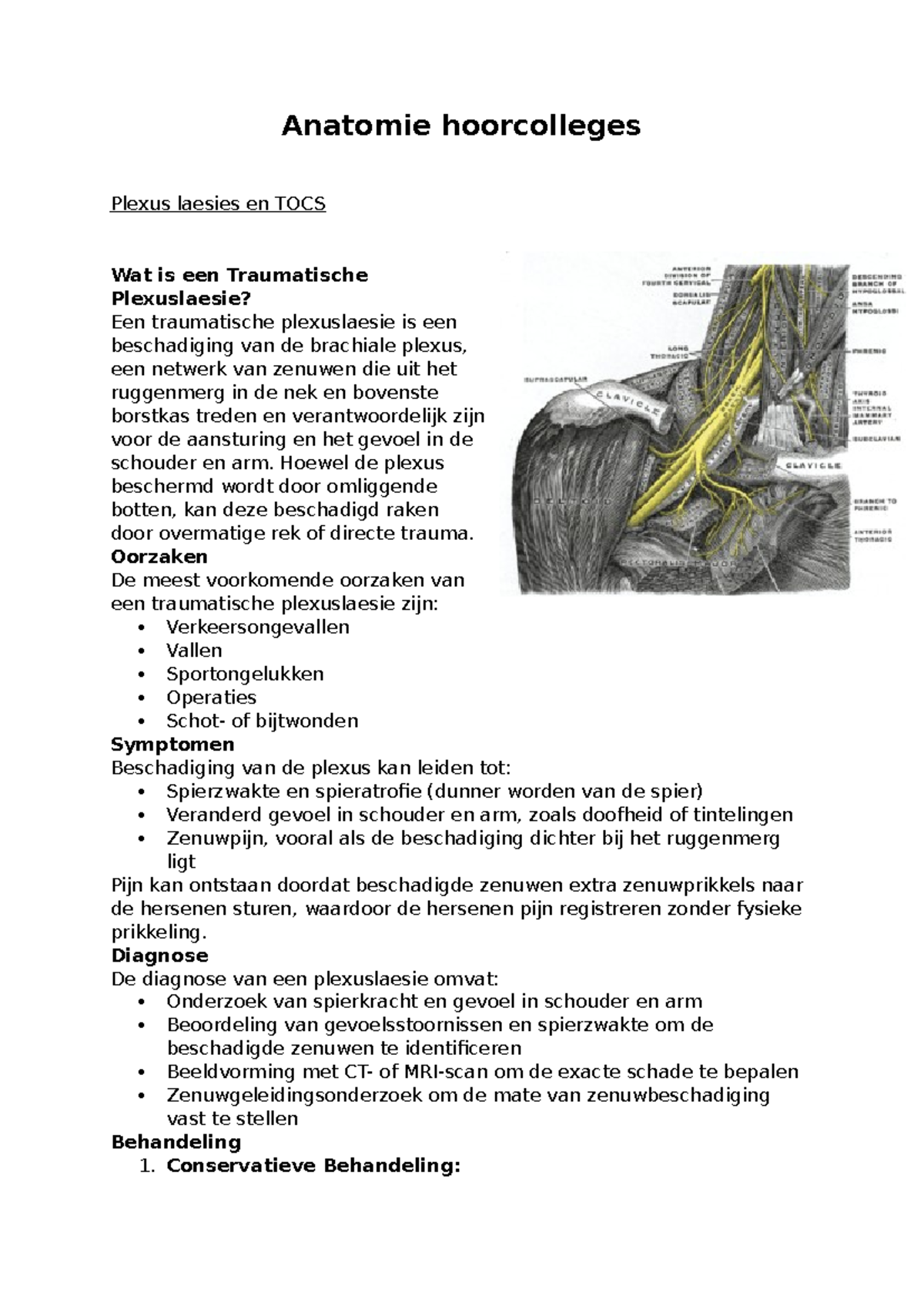 Anatomie Blok 5 - Anatomie hoorcolleges Plexus laesies en TOCS Wat is ...
