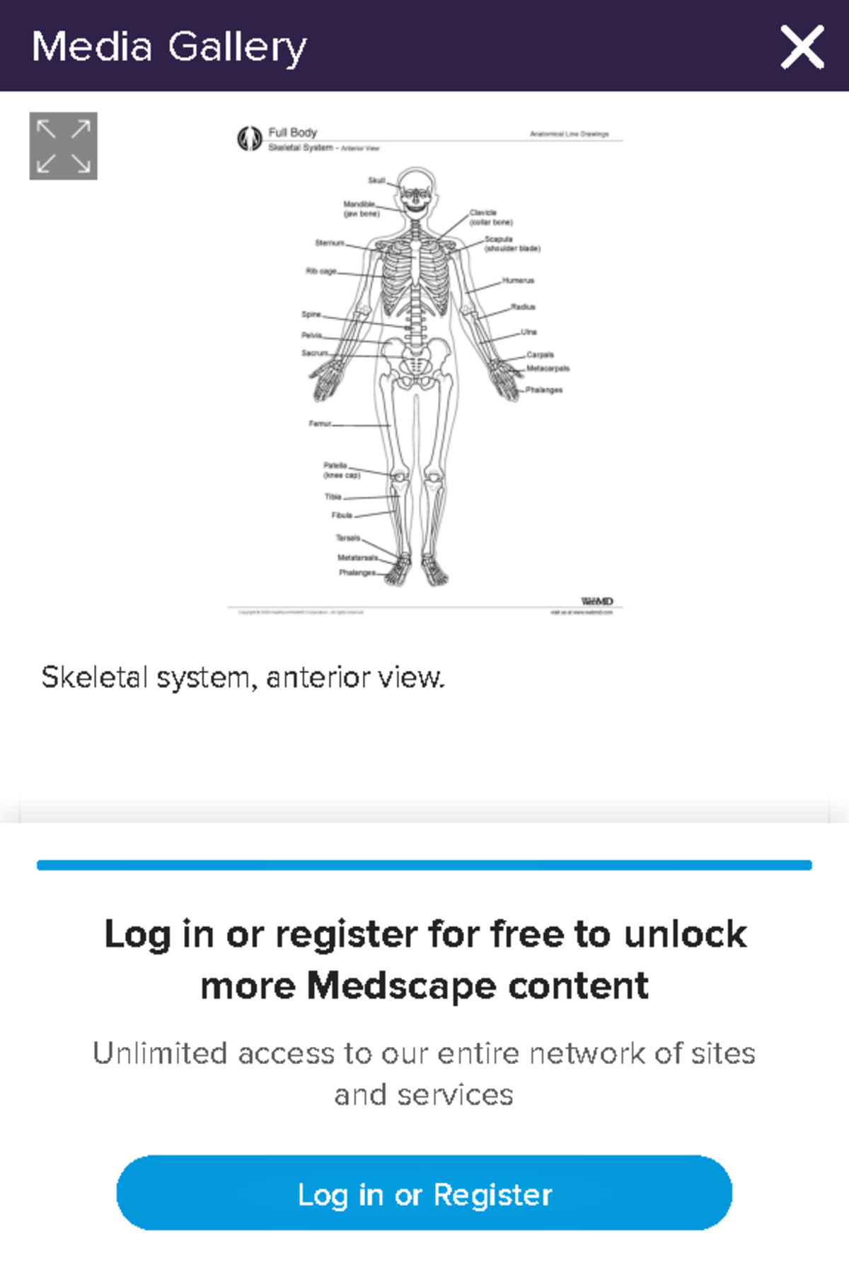Medscape Registration - Updated: Jul 28, 2015 | Drugs & Diseases ...
