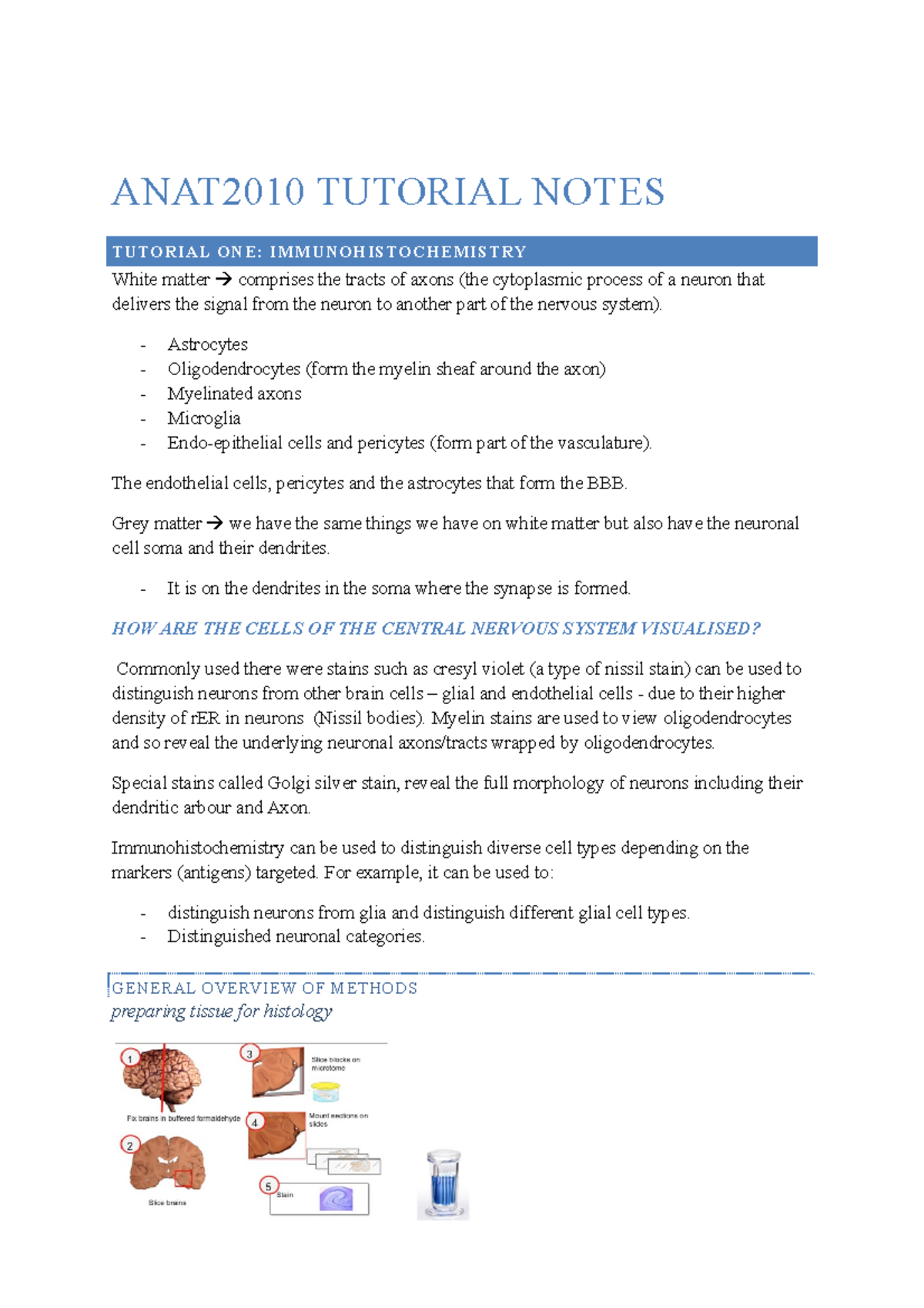 ANAT2010 tutorial notes - ANAT2010 TUTORIAL NOTES TUTORIAL ONE ...