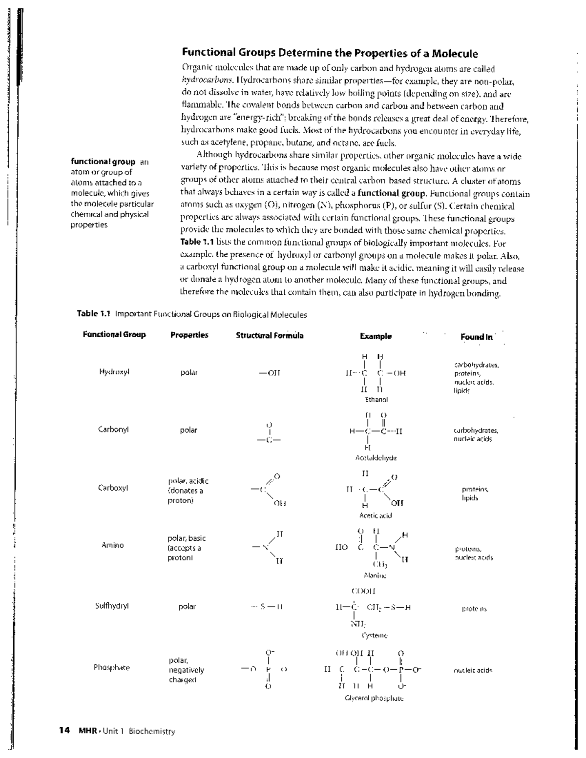 1.0 - Functional Groups - Studocu