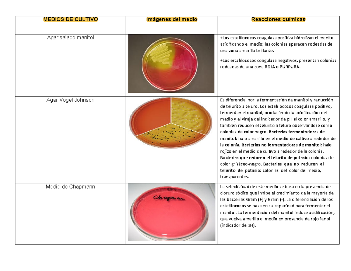 Medios-de-cultivo - Medios de cultivos - MEDIOS DE CULTIVO Imágenes del ...