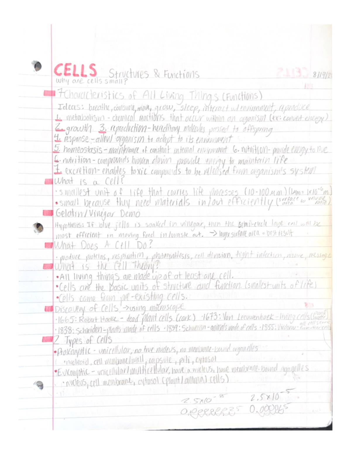 Cell Structure And Function L41 2960 Studocu