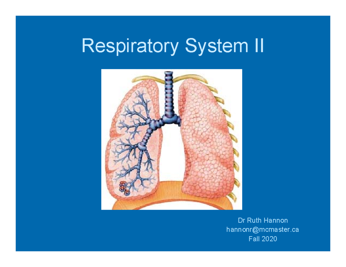 2020 Respiratory System II Handout-1 - Respiratory System II Dr Ruth ...