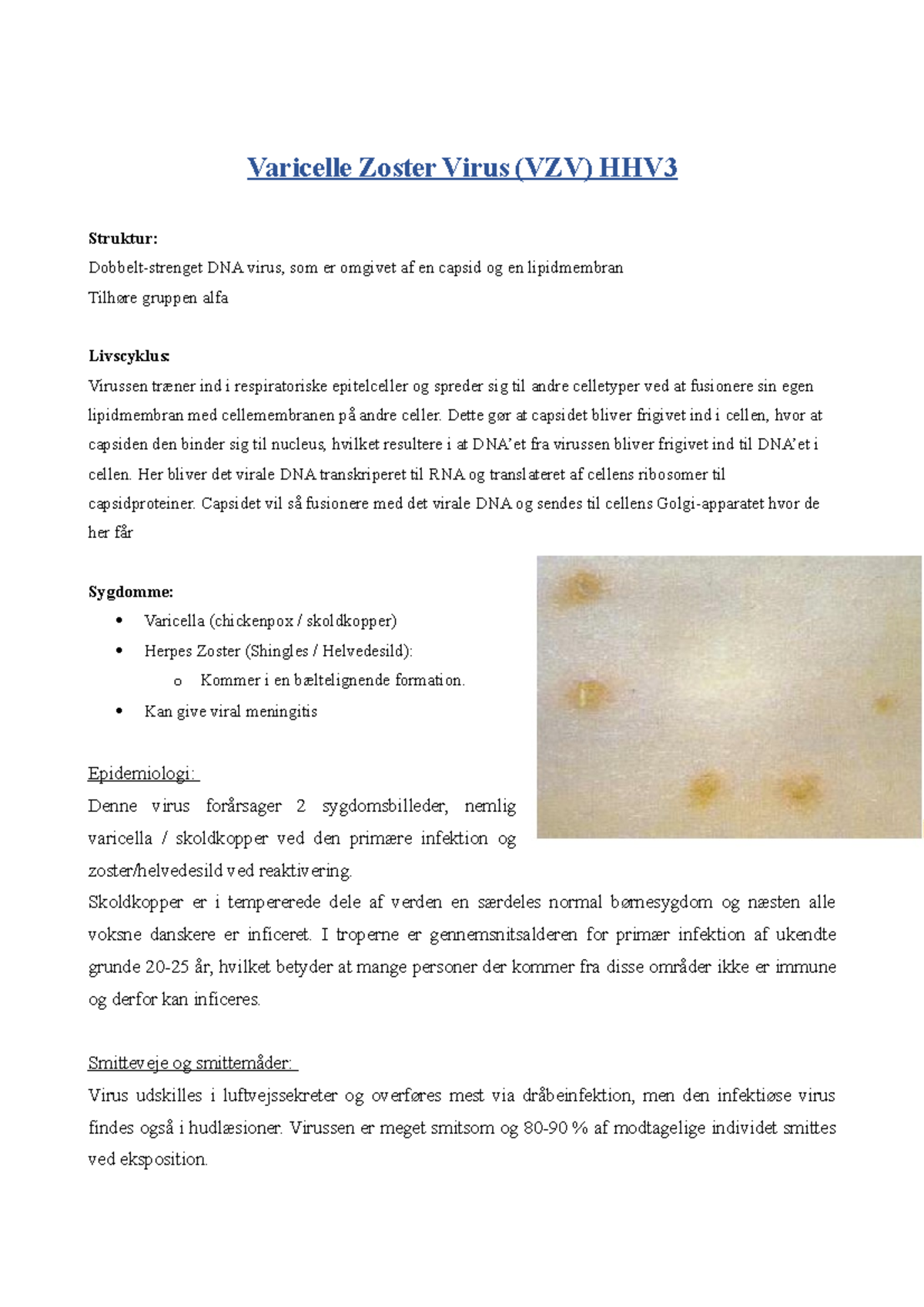 Varicelle Zoster Virus (VZV) HHV3 - Varicelle Zoster Virus (VZV) HHV ...