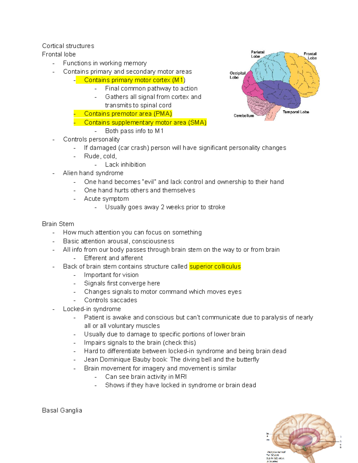 Lec 6 - Lecture notes - Cortical structures Frontal lobe - Functions in ...