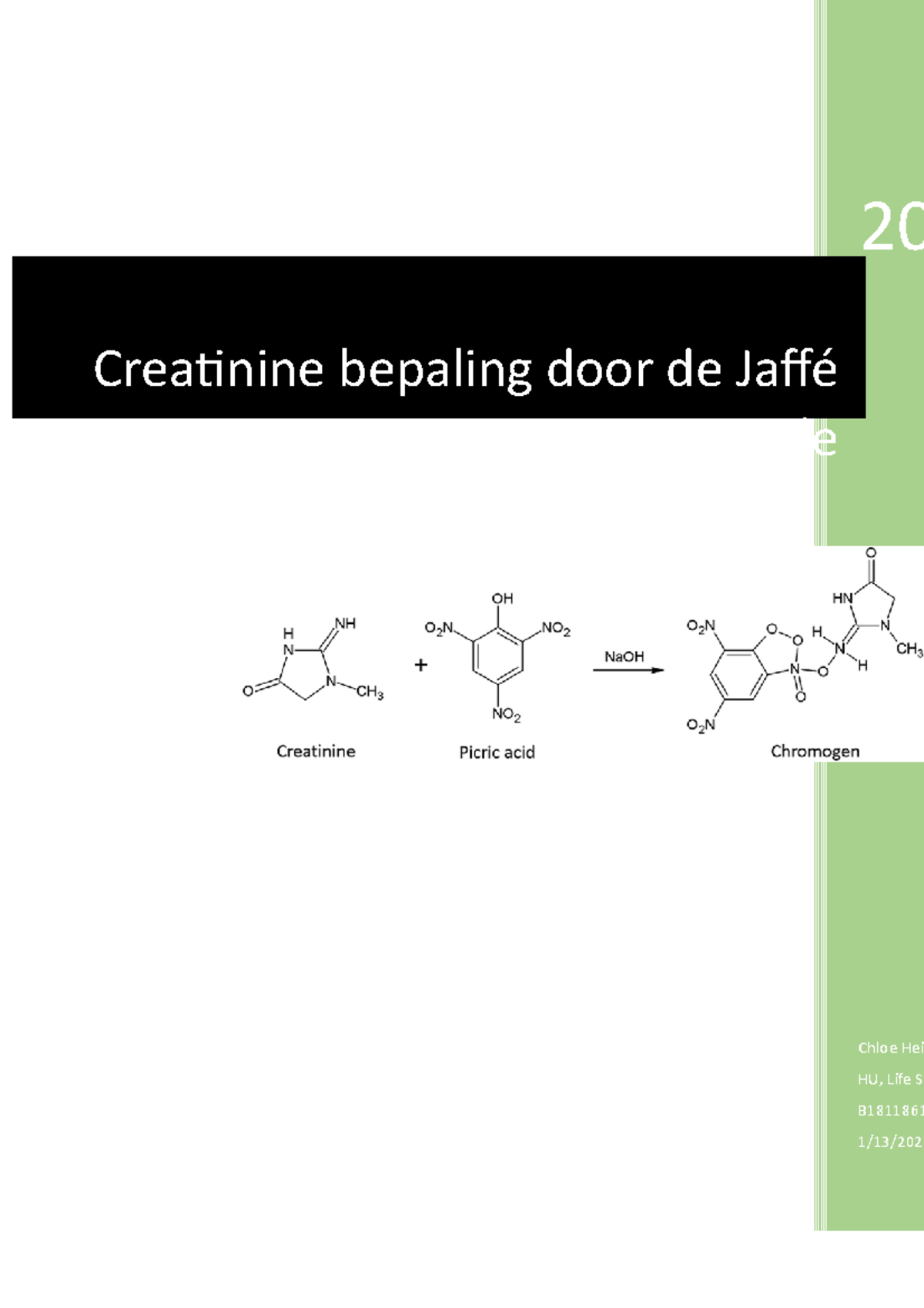 Creatinine Practicumverslag - 202 Chloe Hein HU, Life Sc B 1/13 ...