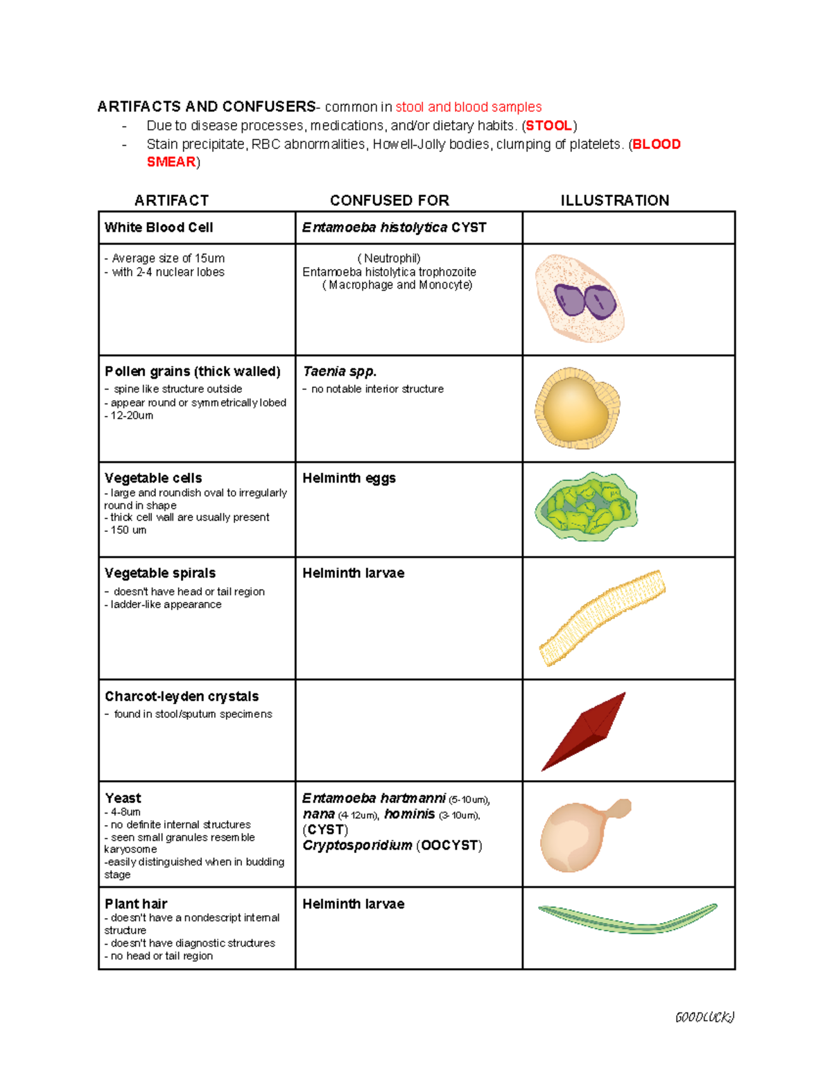 Artifacts- Confusers-1 - ARTIFACTS AND CONFUSERS- common in stool and ...