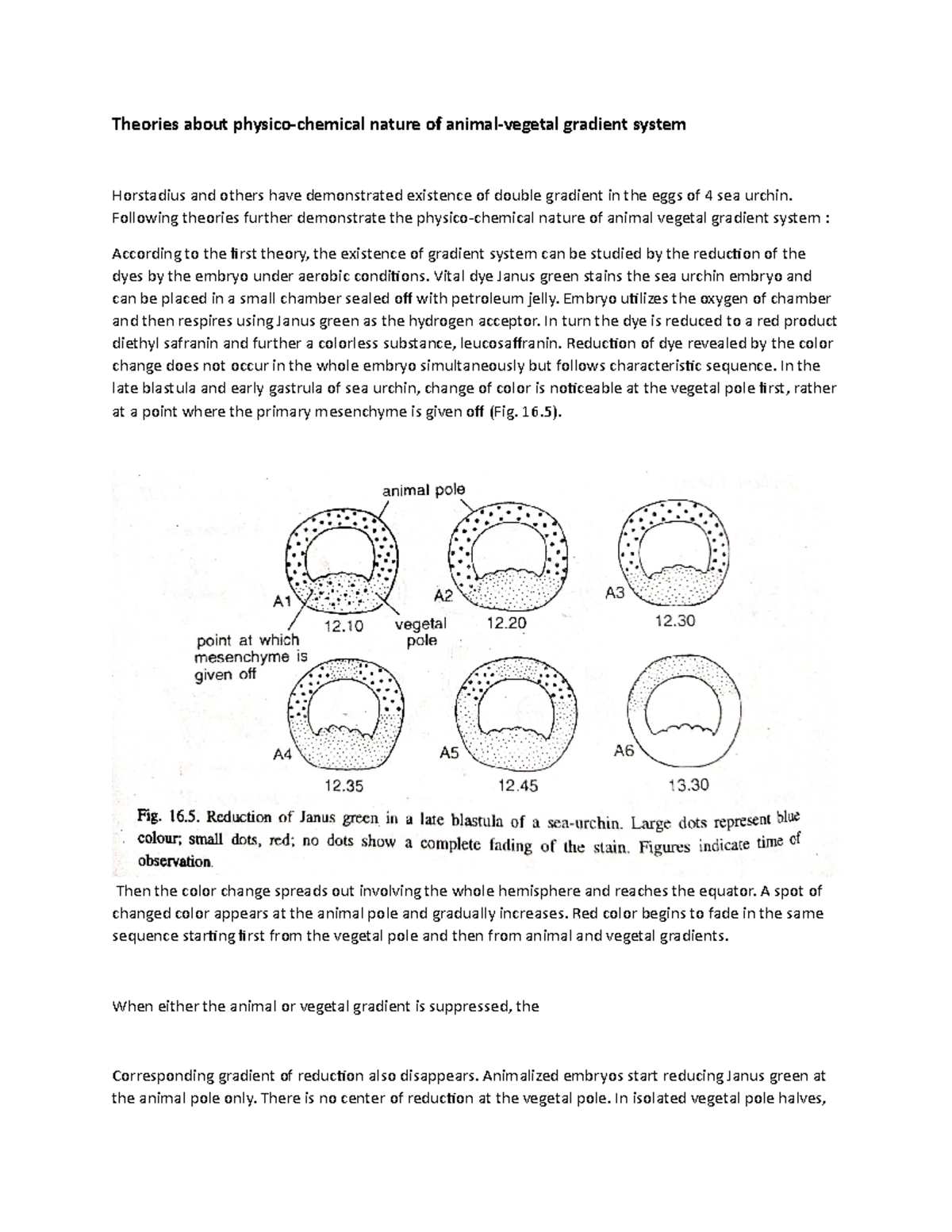 Theories about physico-chemical nature of animal-vegetal gradient ...
