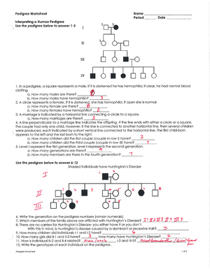 Pedigree worksheet - mutation dna - Pedigree Worksheet Name