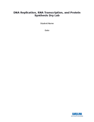 DNA Replication LAB - LAB - DNA Replication, RNA Transcription, and ...