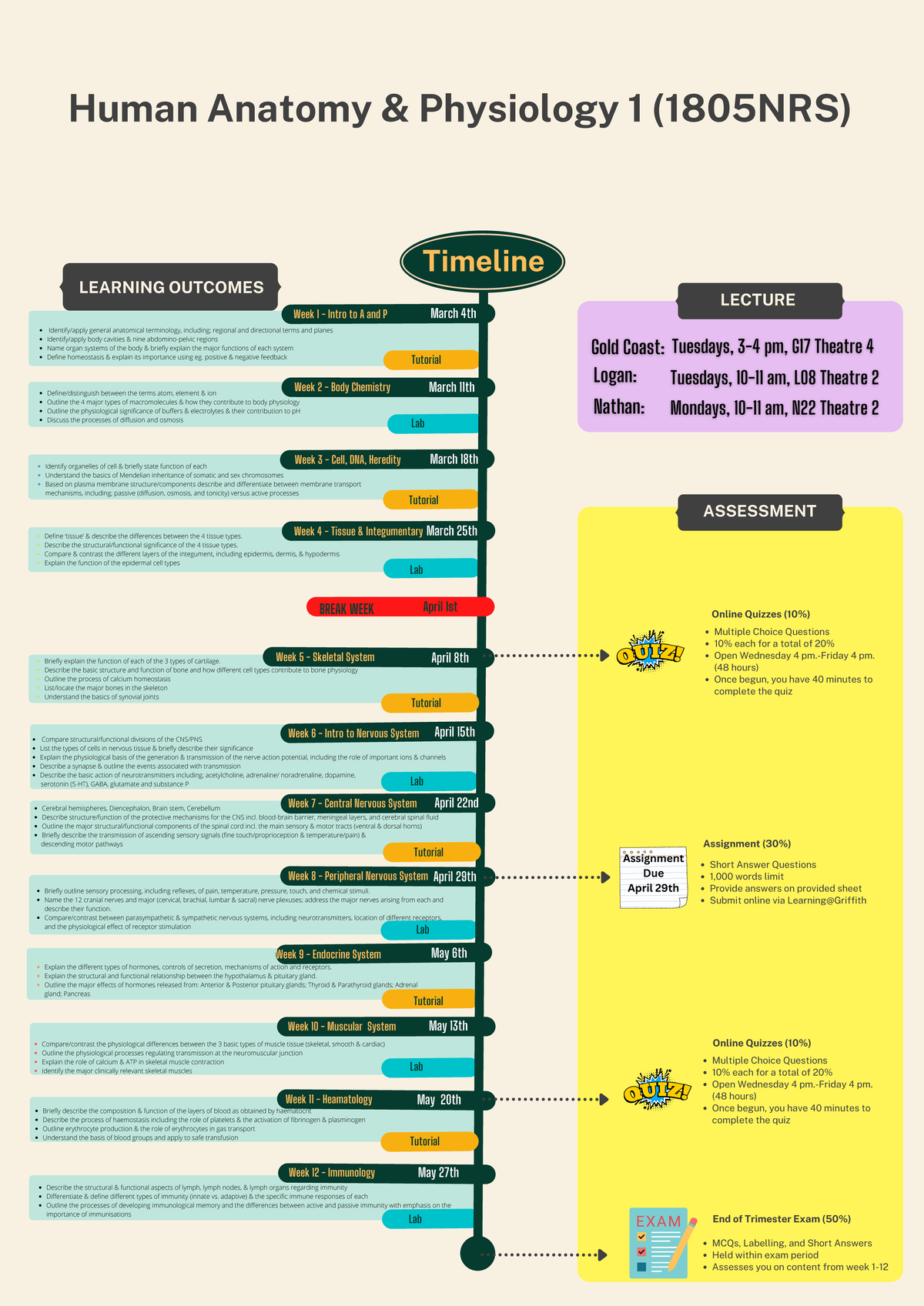 Study Guide 1808NRS 2024 - ASSESSMENT Human Anatomy & Physiology 1 ...