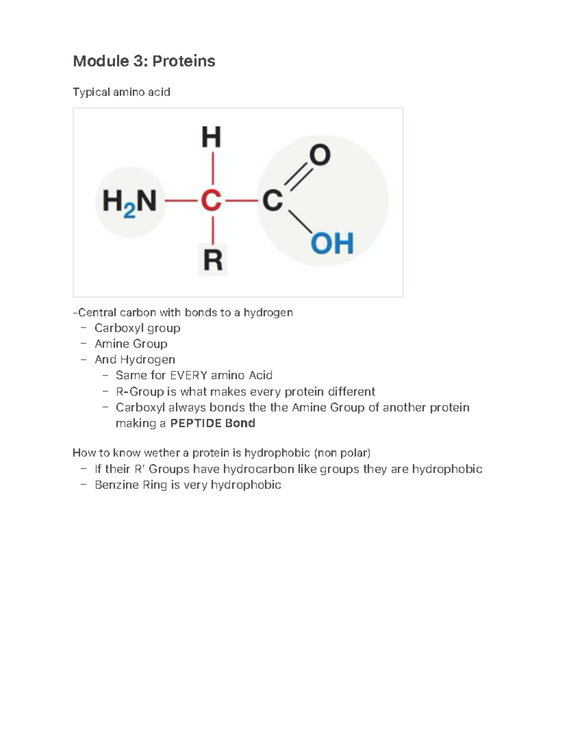Module 3: Proteins - notes - – – – – – – – – Module 3: Proteins Typical ...