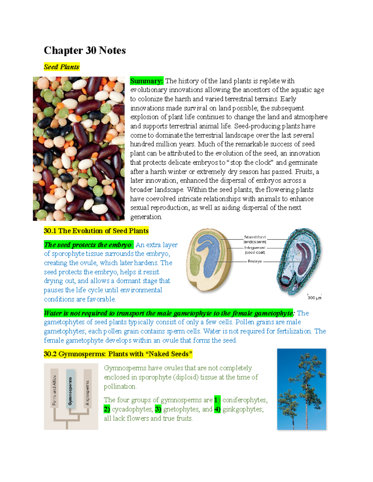 Bio Chapter 30 Notes - Biology - Chapter 30 Notes Seed Plants Summary ...