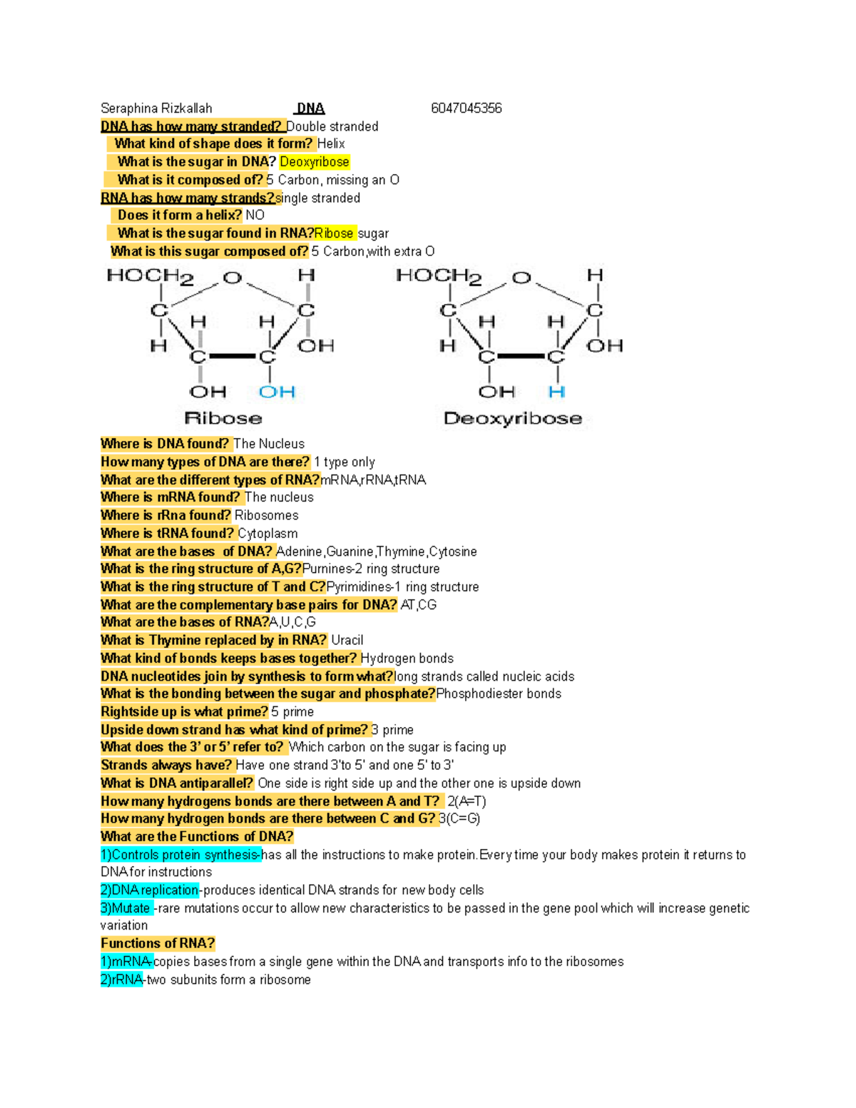 BIO Notes DNA etc - Seraphina Rizkallah DNA 6047045356 DNA has how many ...