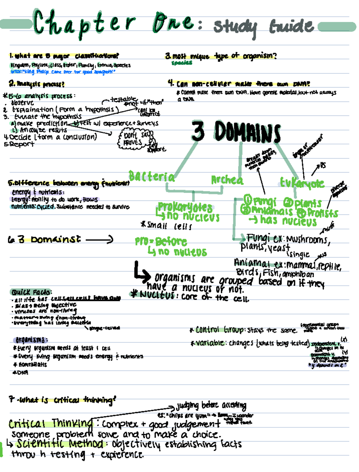 Chapter 1 Study Guide - asdkjjklads - ####### 1 whatare ...