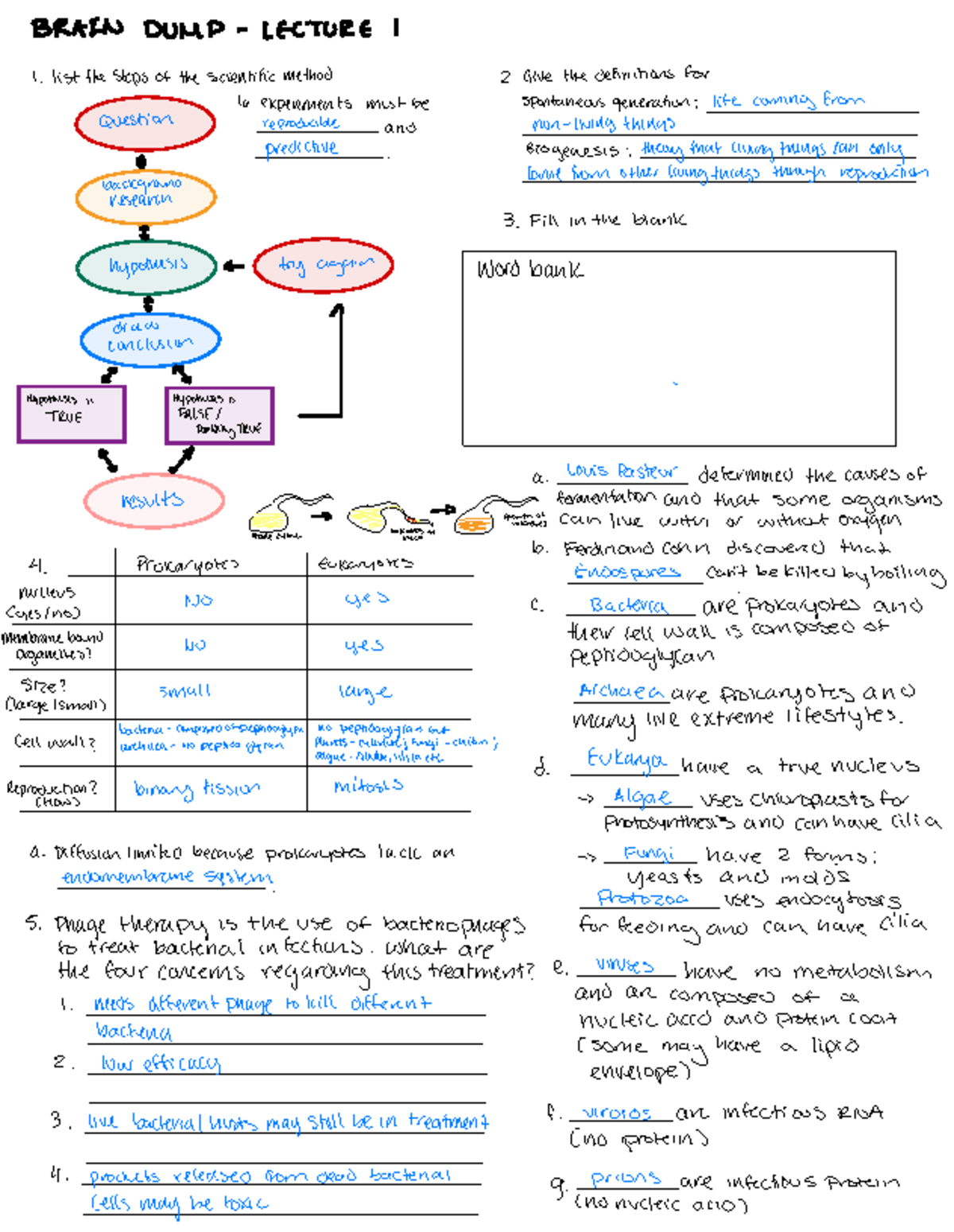 Answers For Exam 1 Review Sheets - BRAIN DUMP-LECTURE I 1. list the ...