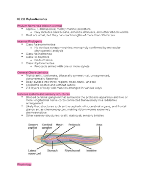 BZ 212 Phylum Annelida - Inverts Notes - BZ 212 Phylum Annelida "True ...