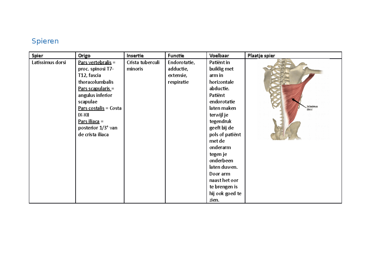 Samenvatting AiV 1.3 - Spieren Spier Latissimus dorsi Origo Pars ...