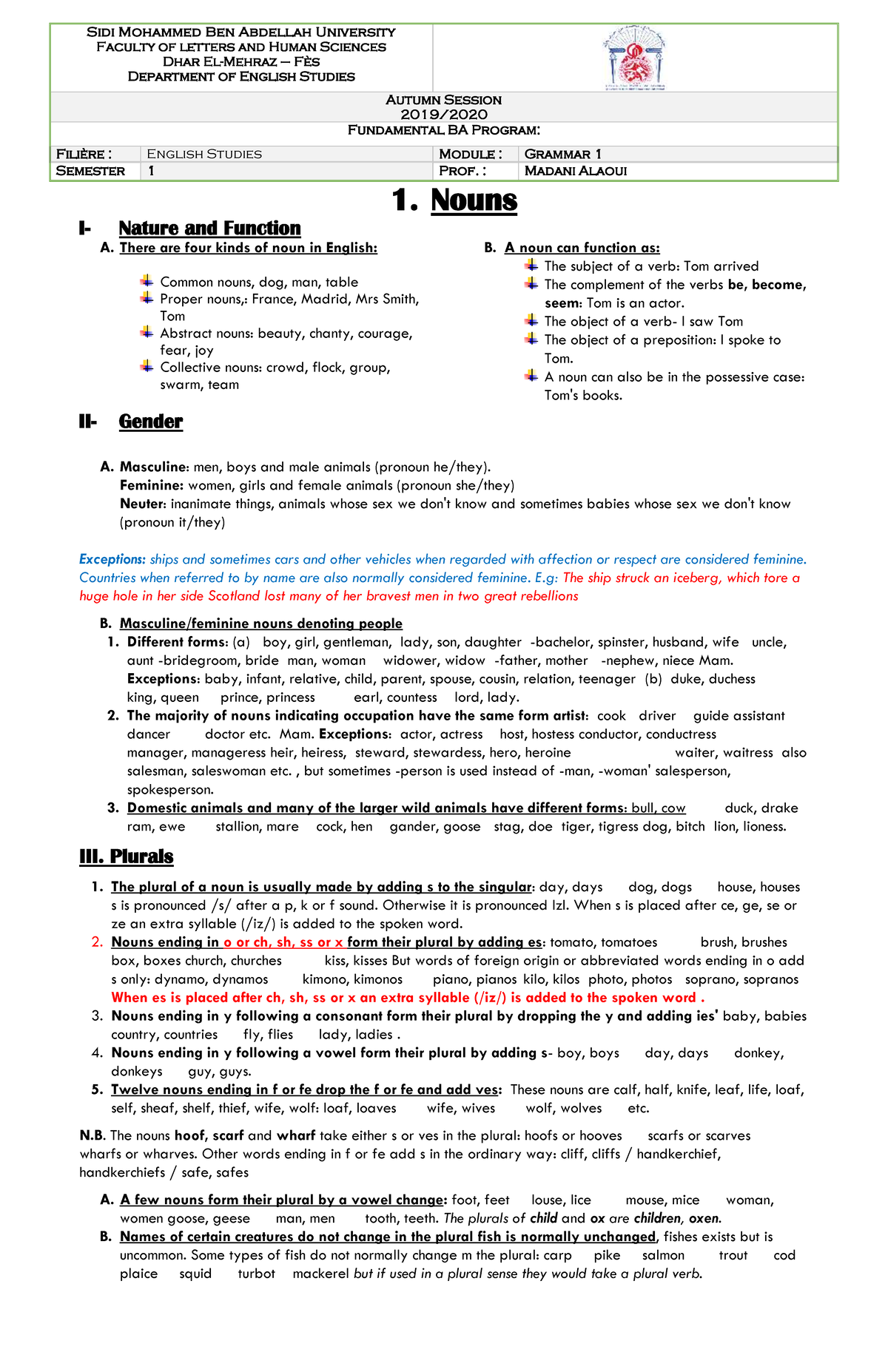 2. Nouns - English Studies Lessons 2021/2022 - 1. Nouns I- Nature and ...