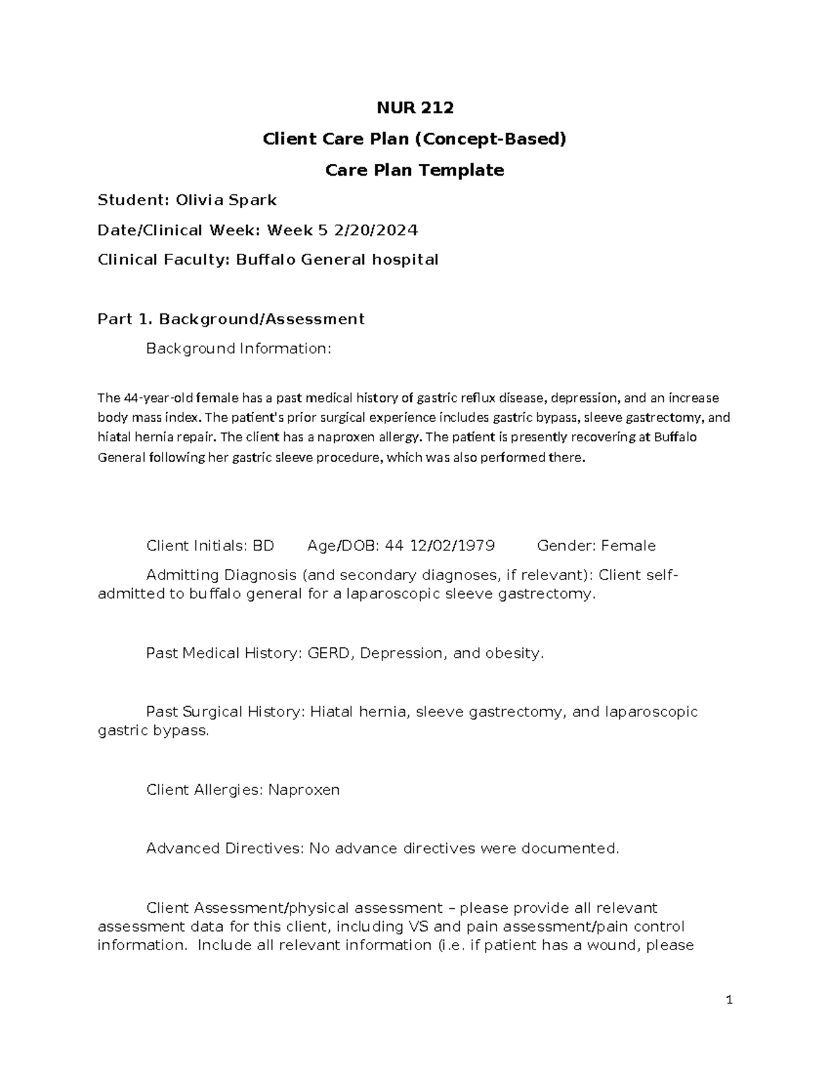 Care plan template Spring - NUR 212 Client Care Plan (Concept-Based ...