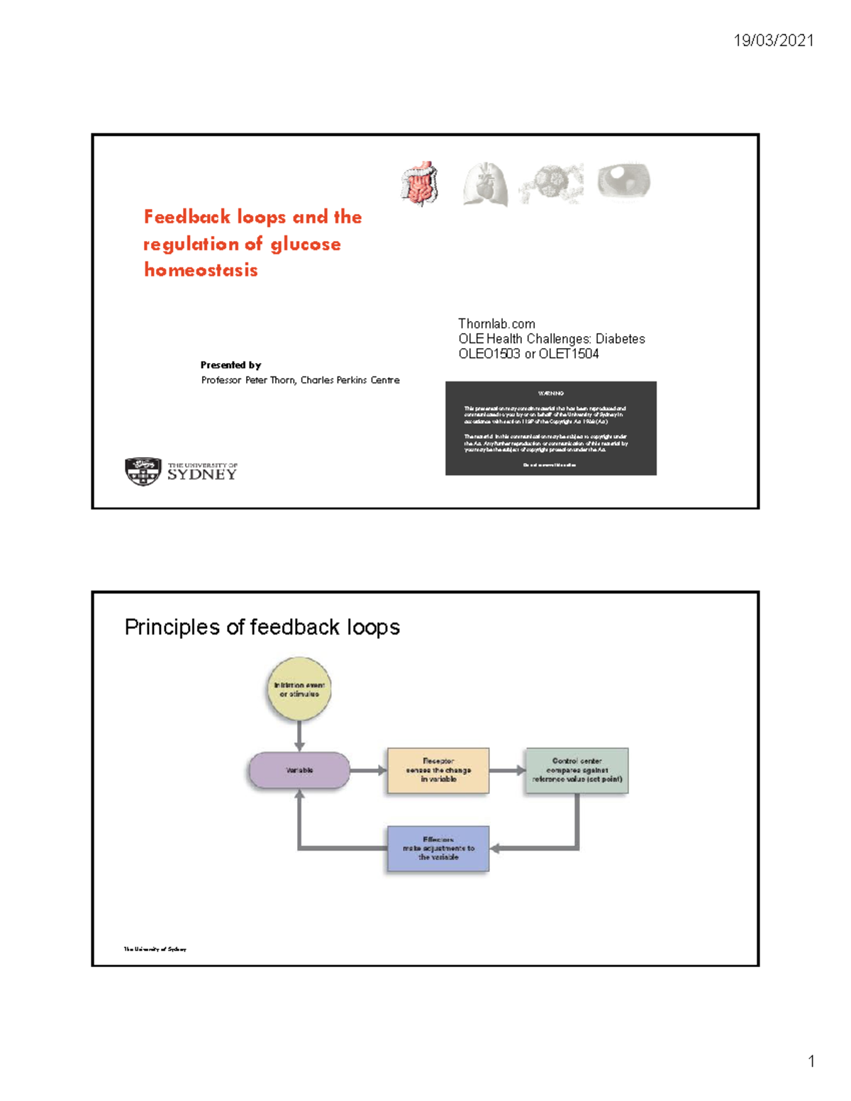 Human Biology Topic 6.1 Feedback Loops and Glucose Regulation ...