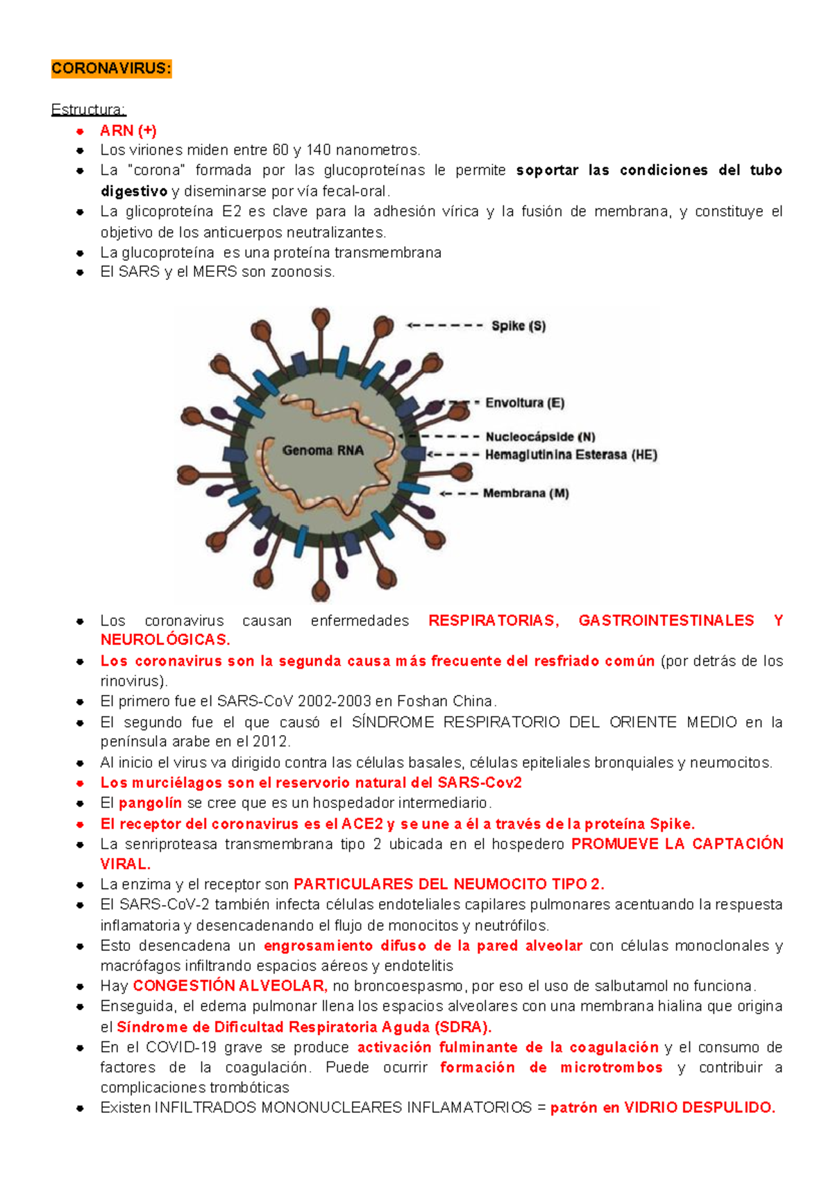 Manual-infectologia - apuntes - CORONAVIRUS: Estructura: ARN (+) Los ...