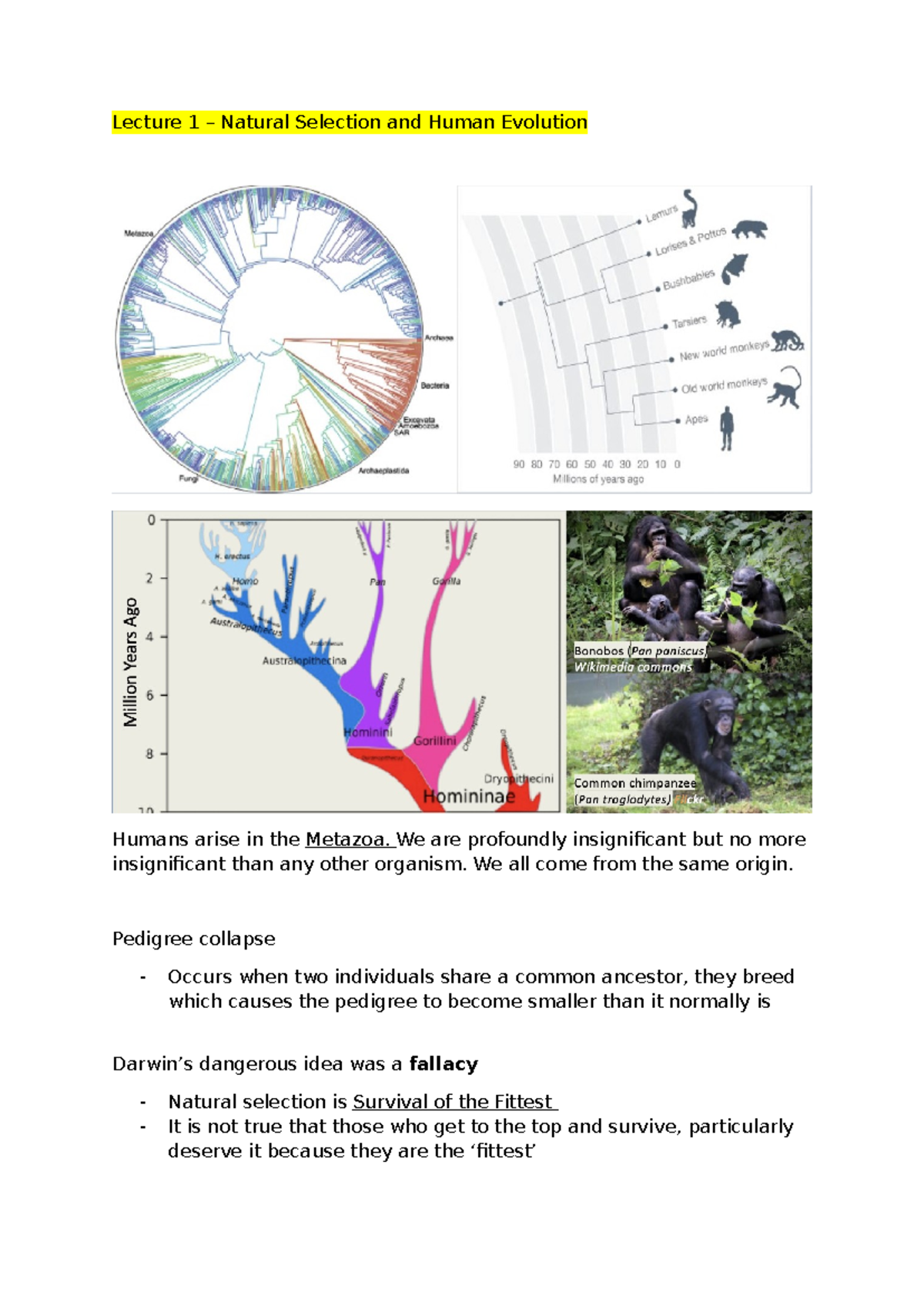 BIOS2500 Notess - Lecture 1 – Natural Selection and Human Evolution ...