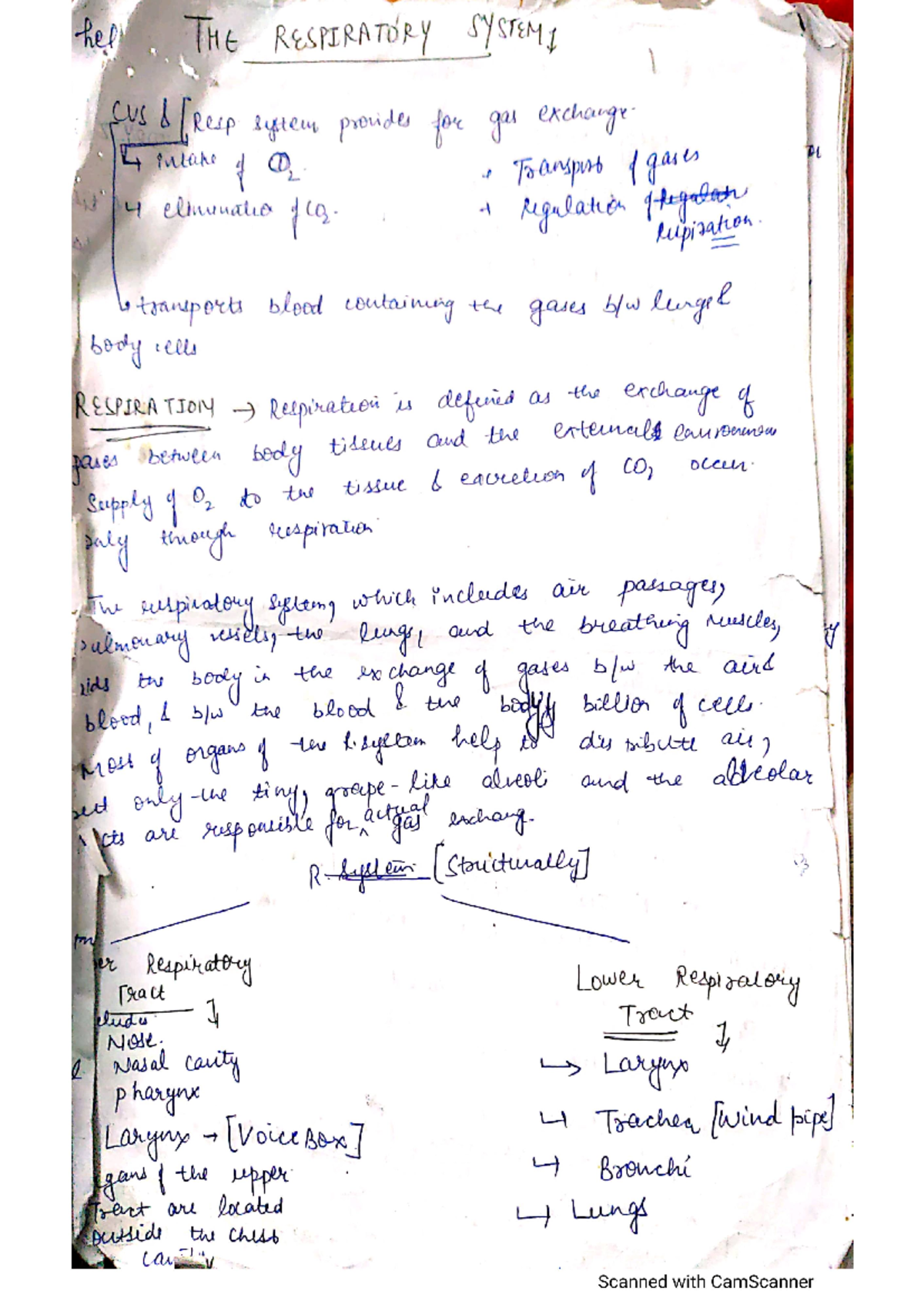 Respiratory system - physical pharmacy - Studocu