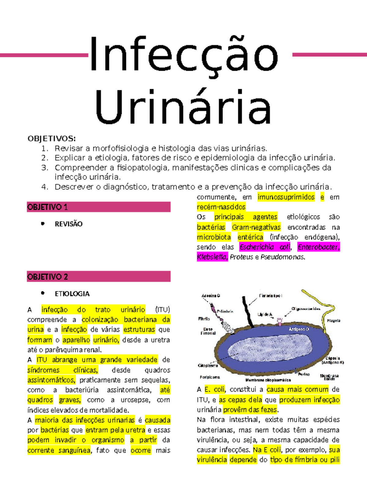 APG 14 - Infecção urinária - Infecção Urinária OBJETIVOS: Revisar a ...
