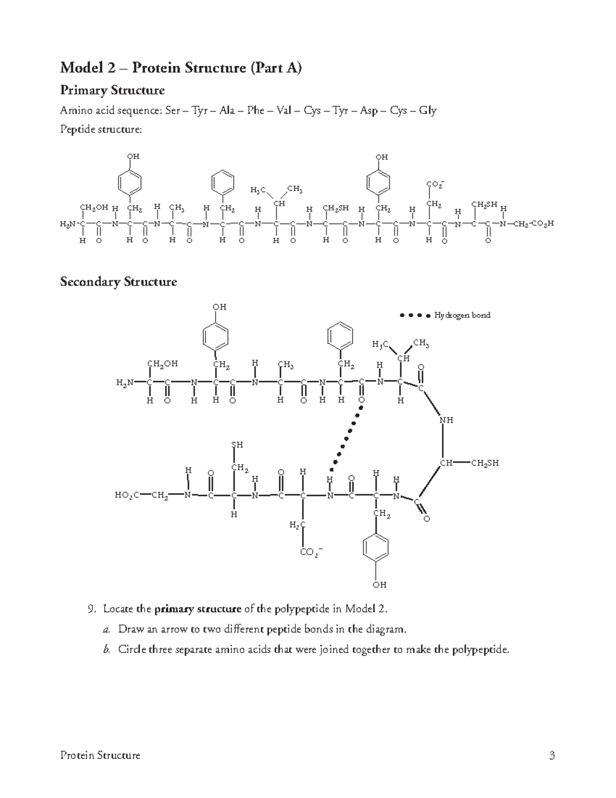 3 Protein Structure new-S - Protein Structure 3 Model 2 – Protein ...