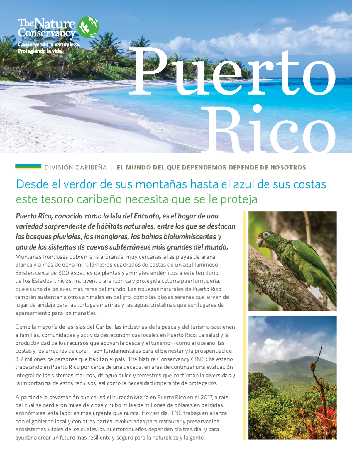 Puerto Rico Paper - Desde el verdor de sus montañas hasta el azul de ...