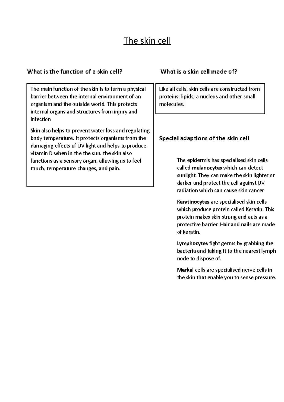 Biology cells prep 2 - jhvh - The skin cell What is the func琀椀on of a ...