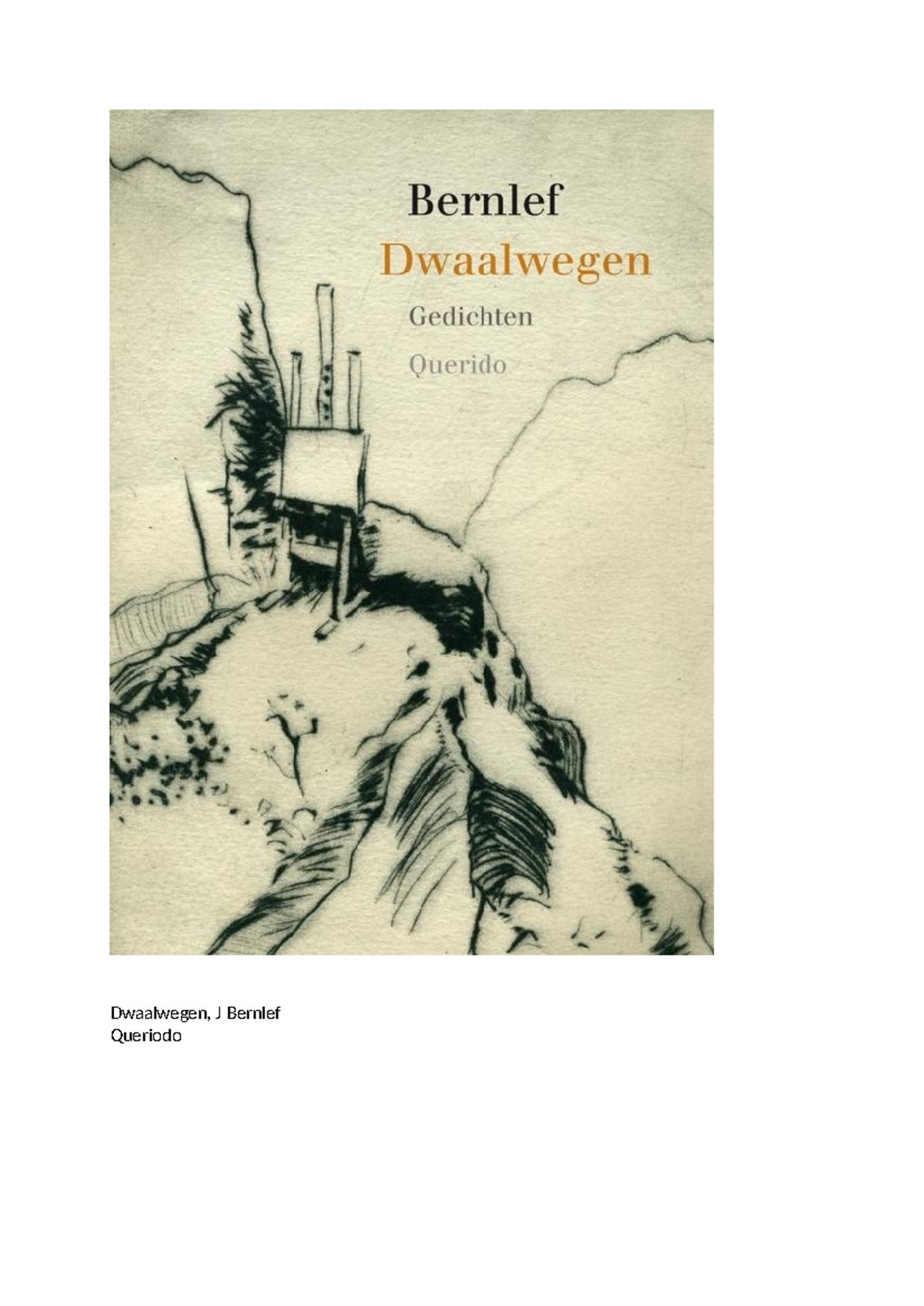 Boekverslag Bernlef - Dwaalwegen, J Bernlef Queriodo Samenvatting (SV ...