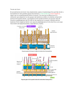 Caracteristicas fisicoquimicas del agar - Romero Pérez Isaac Aramis. EL ...