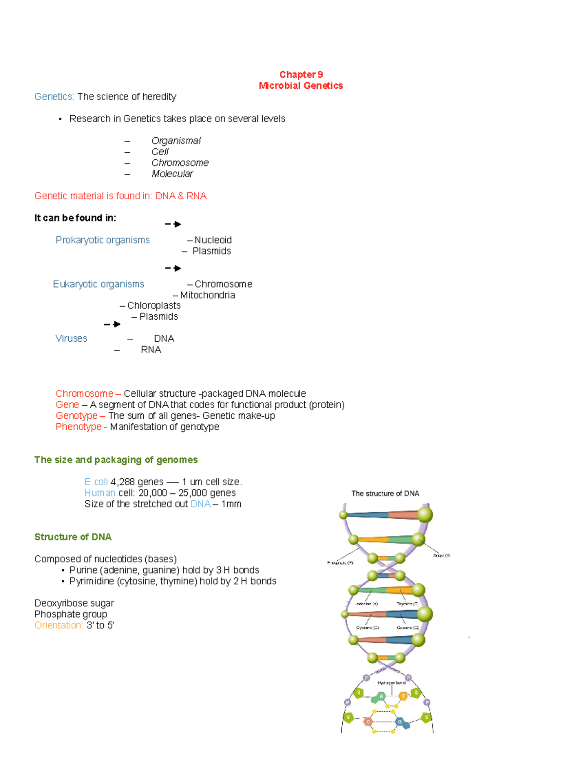 Micro TEST 2 - Chapter 9 Microbial Genetics Genetics: The science of ...