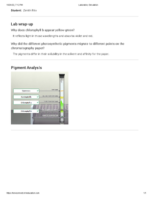 Photosynthesis - Comparing Green and Blue Light - 10/24/22, 7:06 PM Laboratory Simulation ...