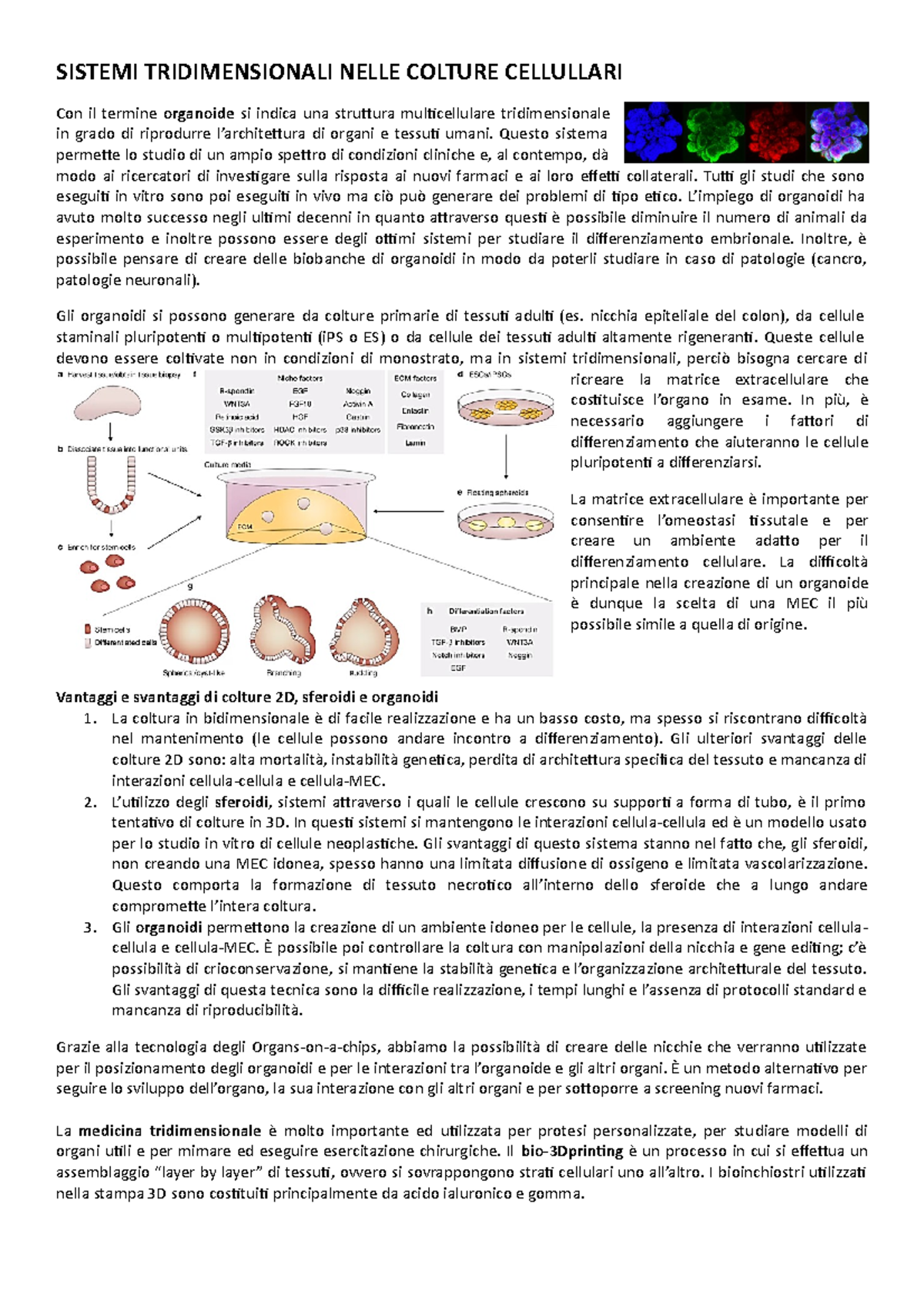 Sistemi Tridimensionali Colture Cellulari - SISTEMI TRIDIMENSIONALI ...
