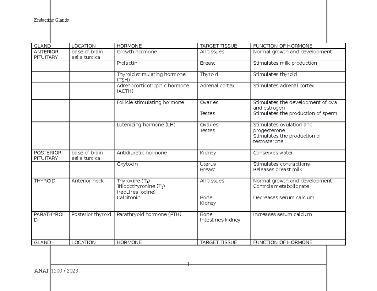 Endocrine Chart 1 - Endocrine Glands GLAND LOCATION HORMONE TARGET ...