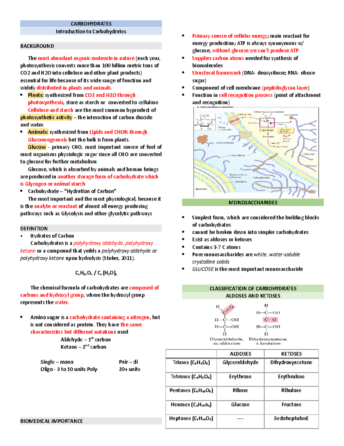 LECTURE #3: BIOMOLECULES: CARBOHYDRATES NOTES - CARBOHYDRATES ...